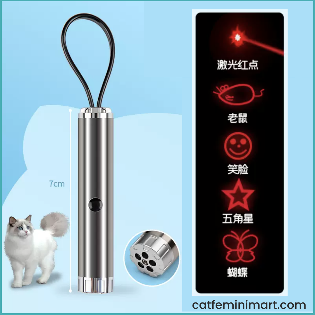 MINI LASER POINTER CAT TOY – Catfe Mini Mart