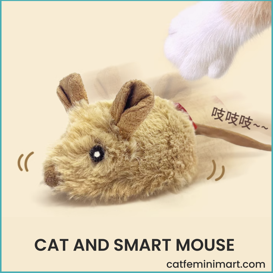 CAT AND SMART MOUSE (With squeaking sound) – Catfe Mini Mart